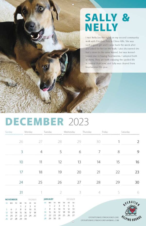 Operation Helping Hounds 2023 Calendar Fundraising