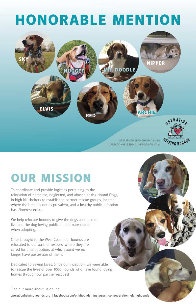 Operation Helping Hounds 2023 Calendar Fundraising