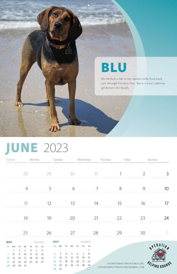 Operation Helping Hounds 2023 Calendar Fundraising