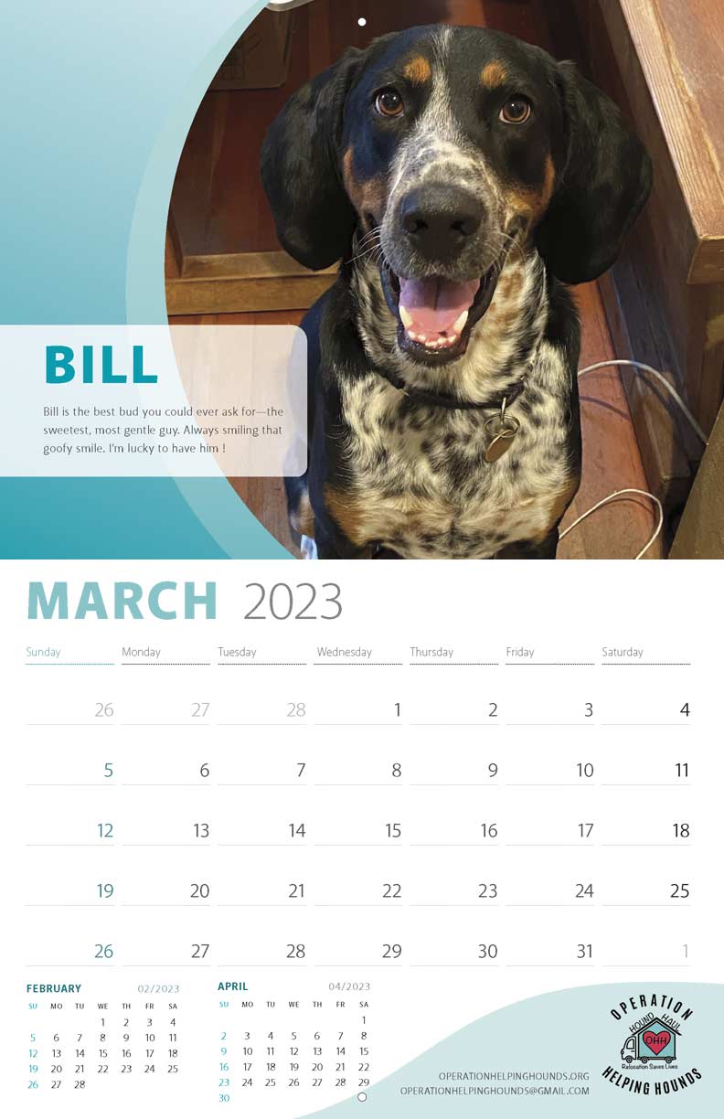 Operation Helping Hounds 2023 Calendar Fundraising
