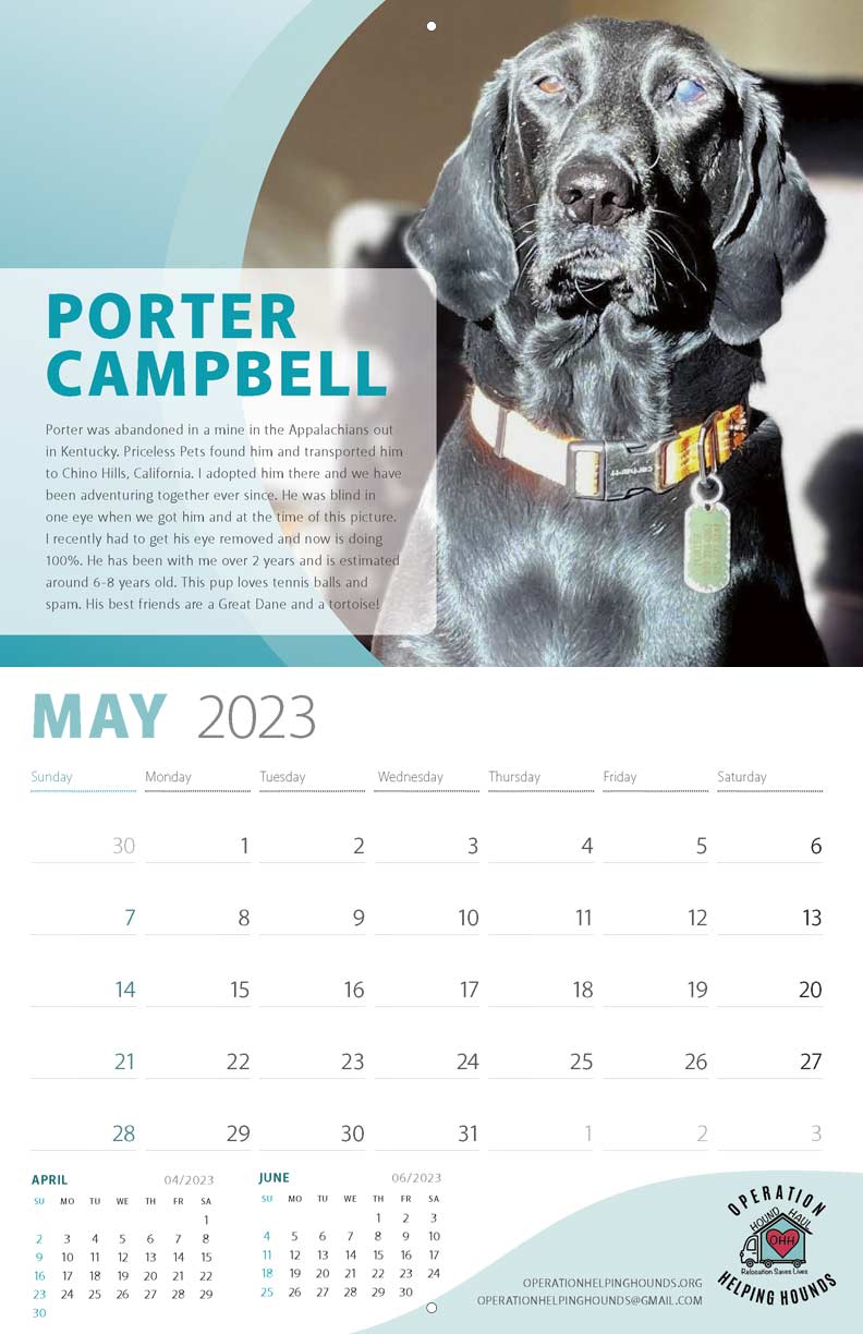 Operation Helping Hounds 2023 Calendar Fundraising