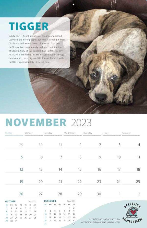 Operation Helping Hounds 2023 Calendar Fundraising