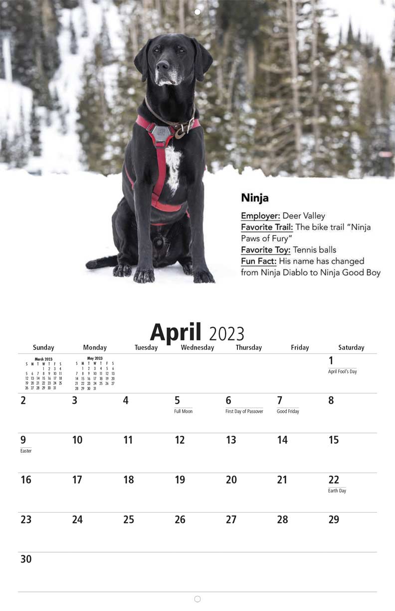 Wasatch Backcountry Rescue 2023 Calendar Fundraising