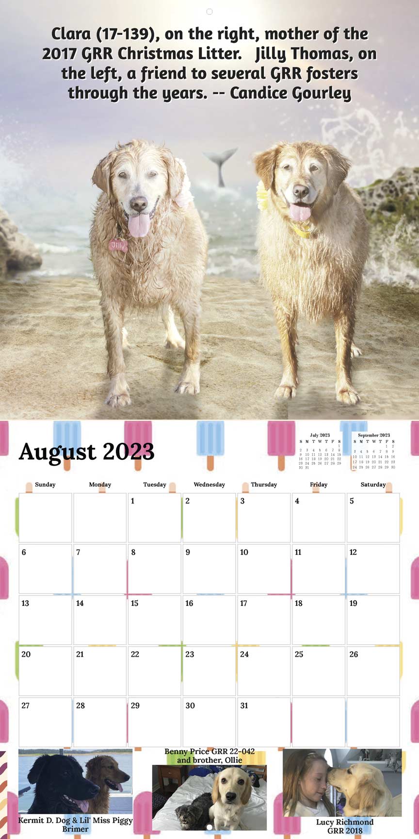 Gold Ribbon Rescue 2023 Calendar Fundraising