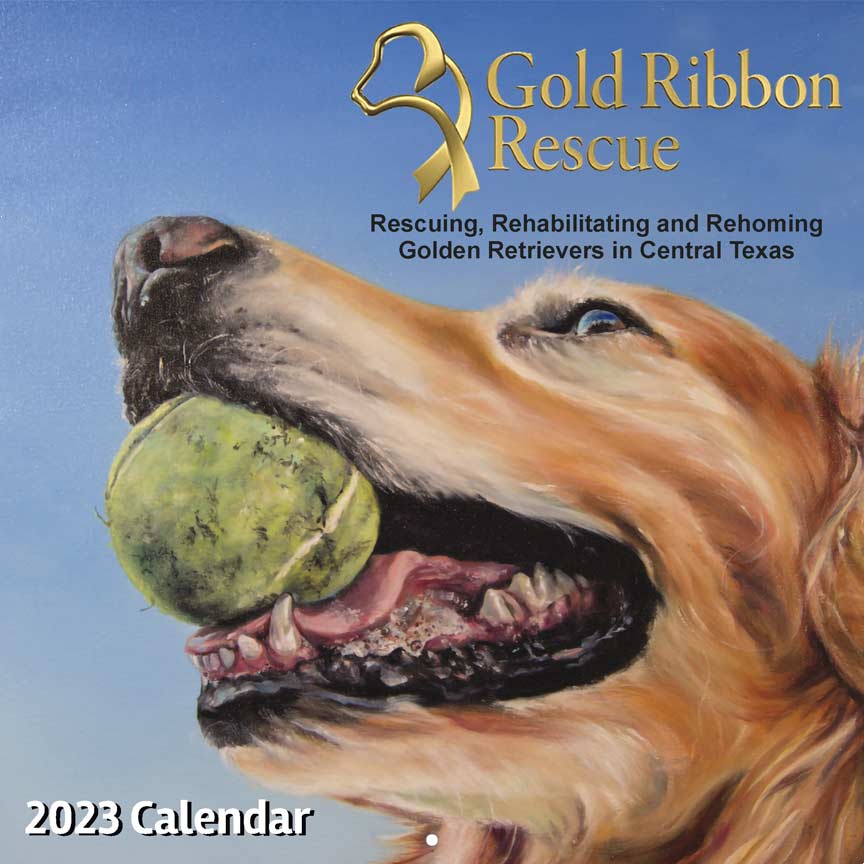 Gold Ribbon Rescue 2023 Calendar Fundraising