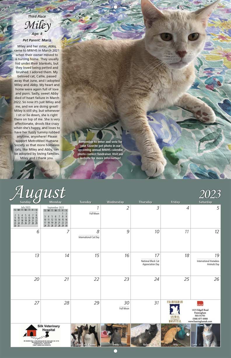 MetroWest Humane Society 2023 Calendar Fundraising