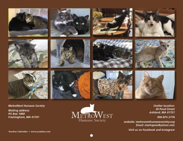 MetroWest Humane Society 2023 Calendar Fundraising