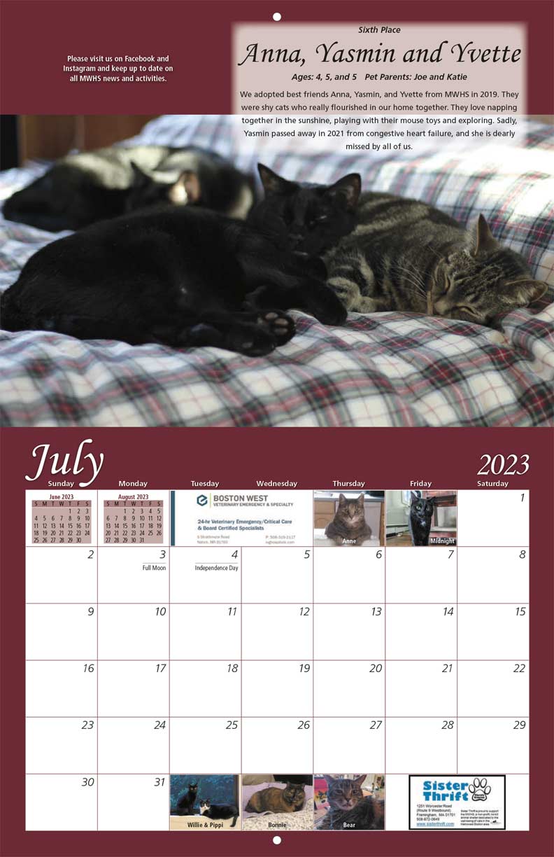MetroWest Humane Society 2023 Calendar Fundraising