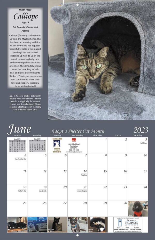 MetroWest Humane Society 2023 Calendar Fundraising