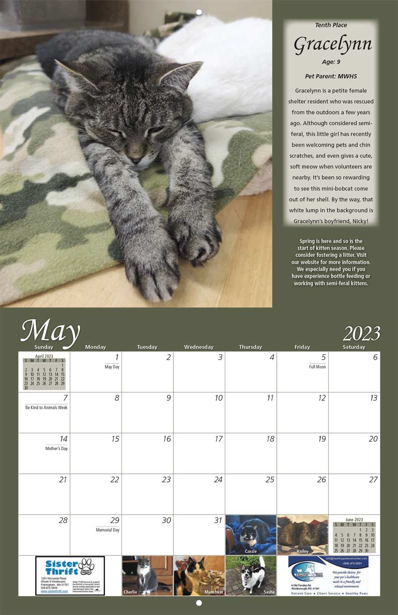 MetroWest Humane Society 2023 Calendar Fundraising