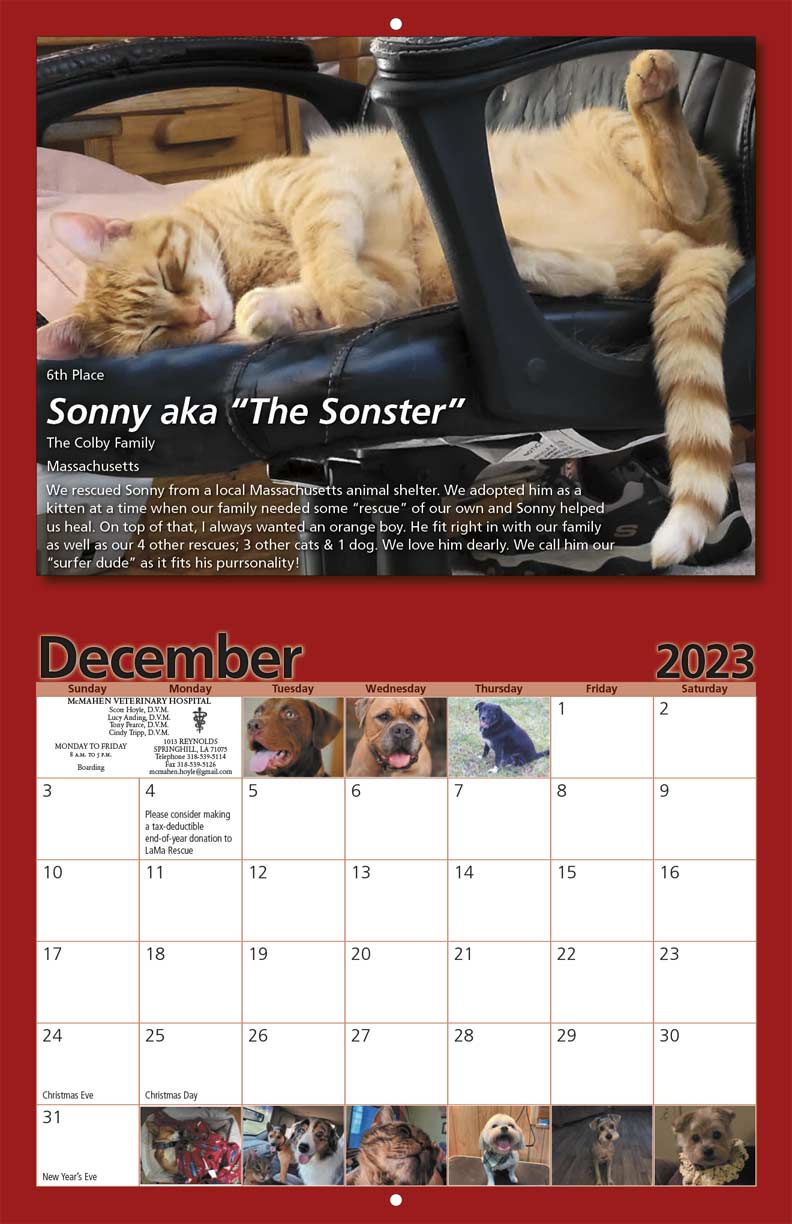 LaMa Animal Rescue 2023 Calendar FundraisIng