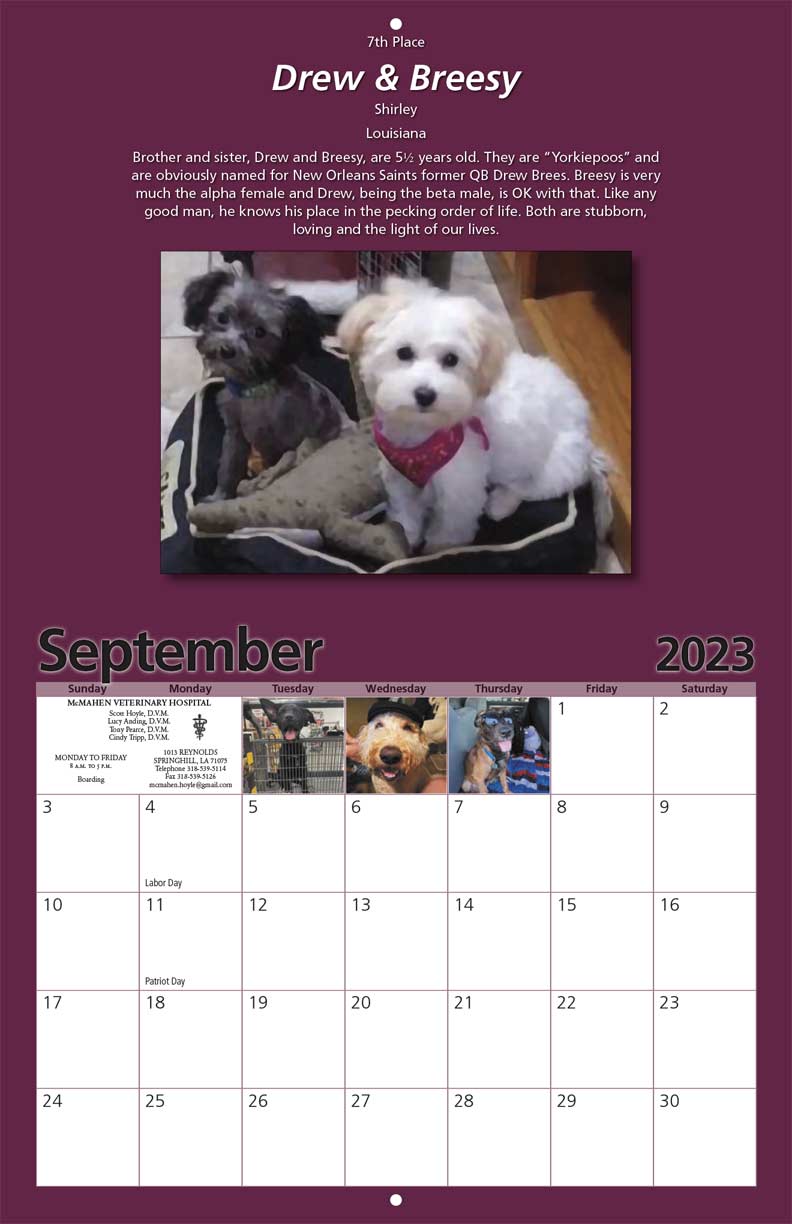 LaMa Animal Rescue 2023 Calendar FundraisIng