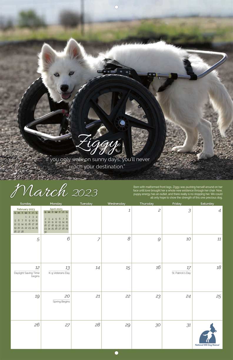 National Mill Dog Rescue 2023 Calendar Fundraising