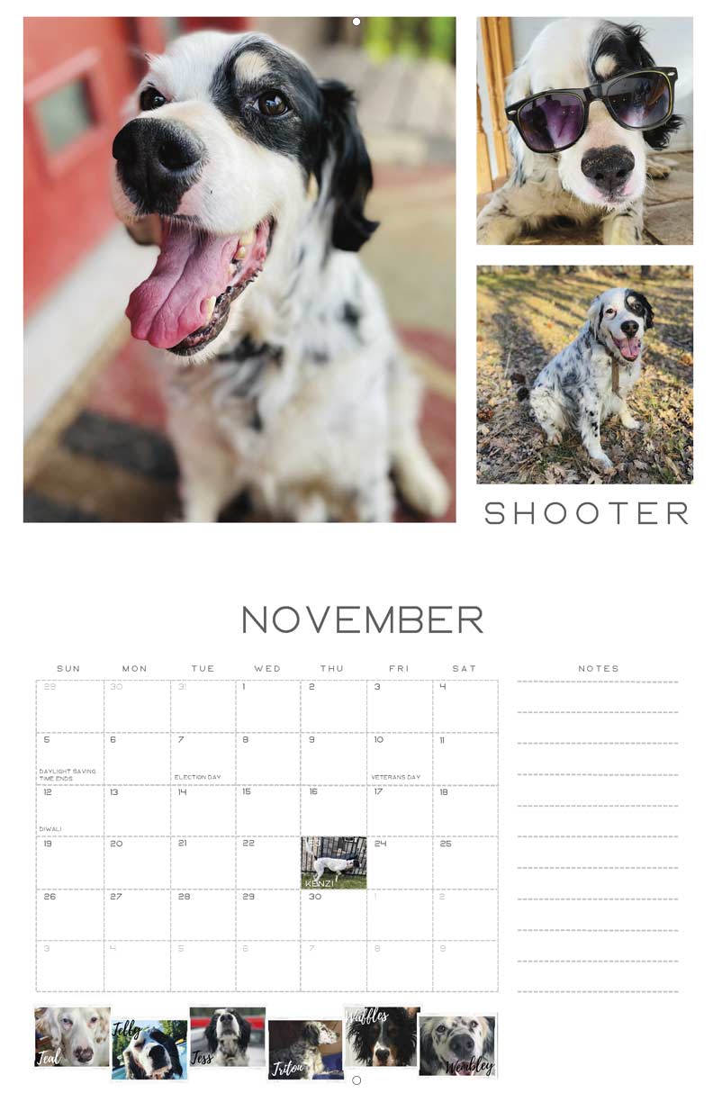 Our English Setter Rescue 2023 Calendar Fundraising