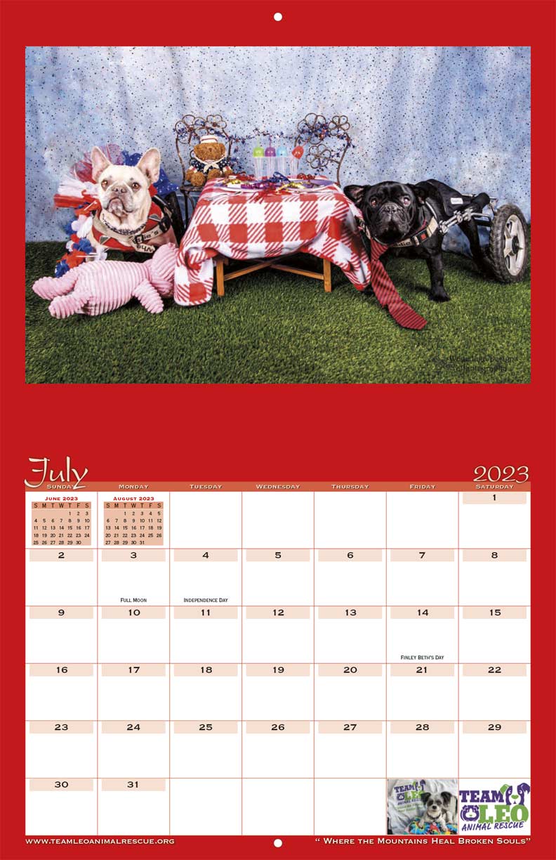 Team Leo Animal Rescue 2023 Calendar Fundraising