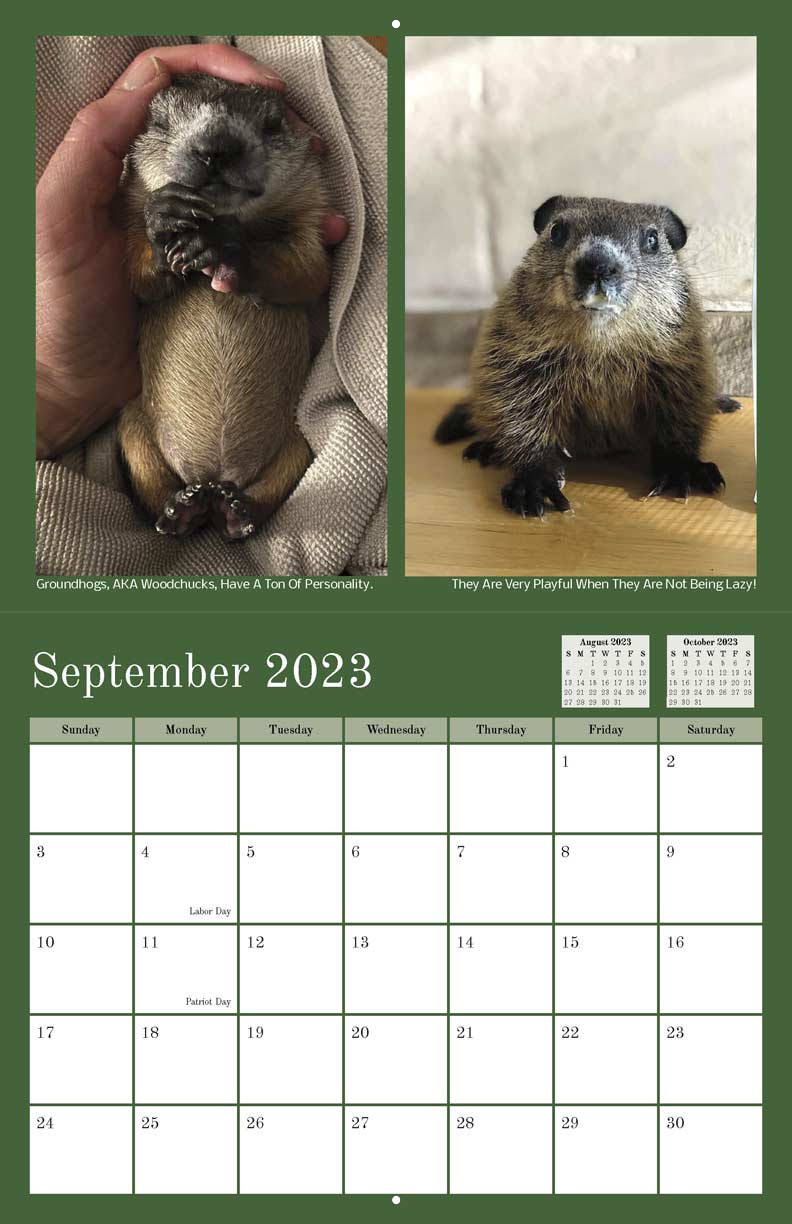 Nature's Nursery 2023 Calendar
