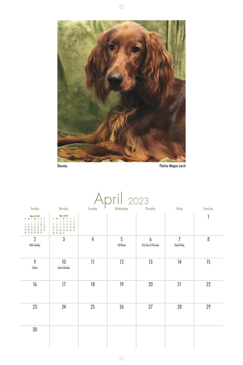 Irish Setter Lovers 2023 Calendar Fundraising