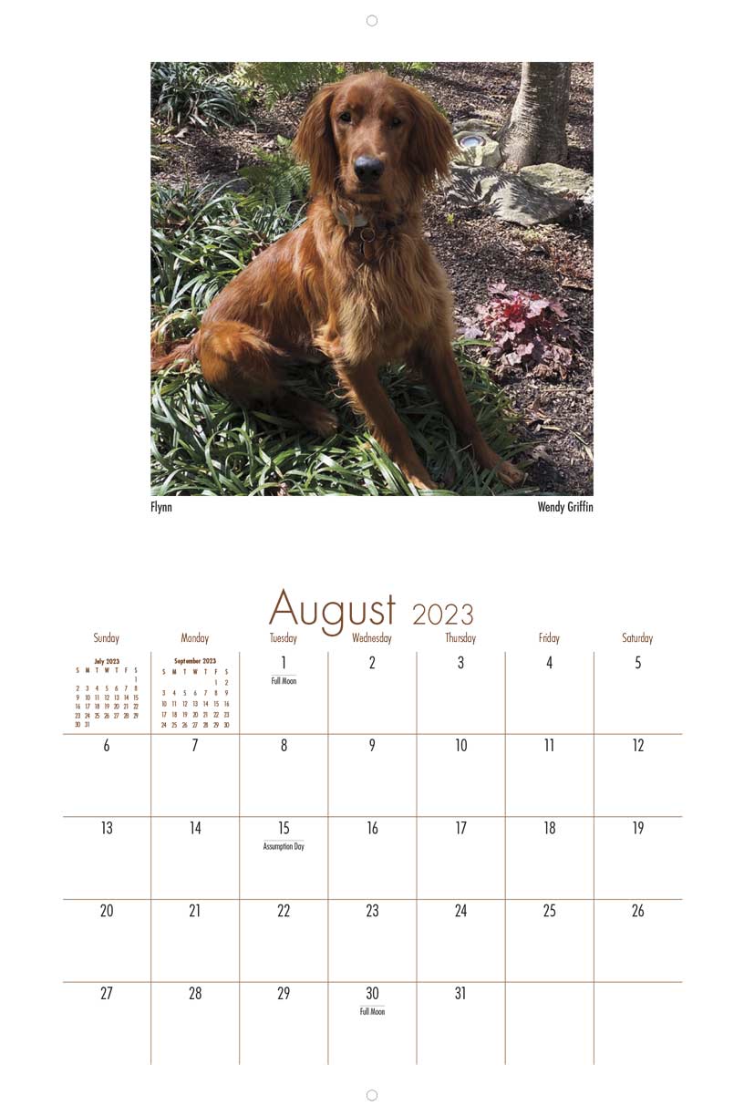 Irish Setter Lovers 2023 Calendar Fundraising