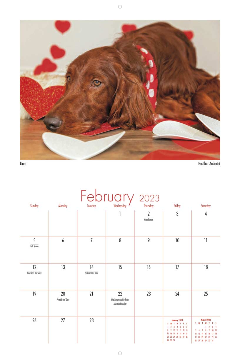 Irish Setter Lovers 2023 Calendar Fundraising