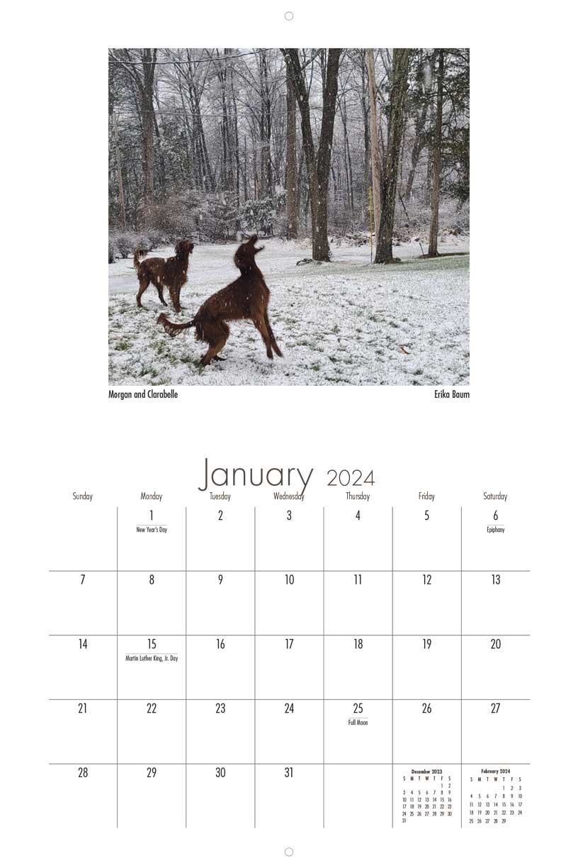 Irish Setter Lovers 2023 Calendar Fundraising