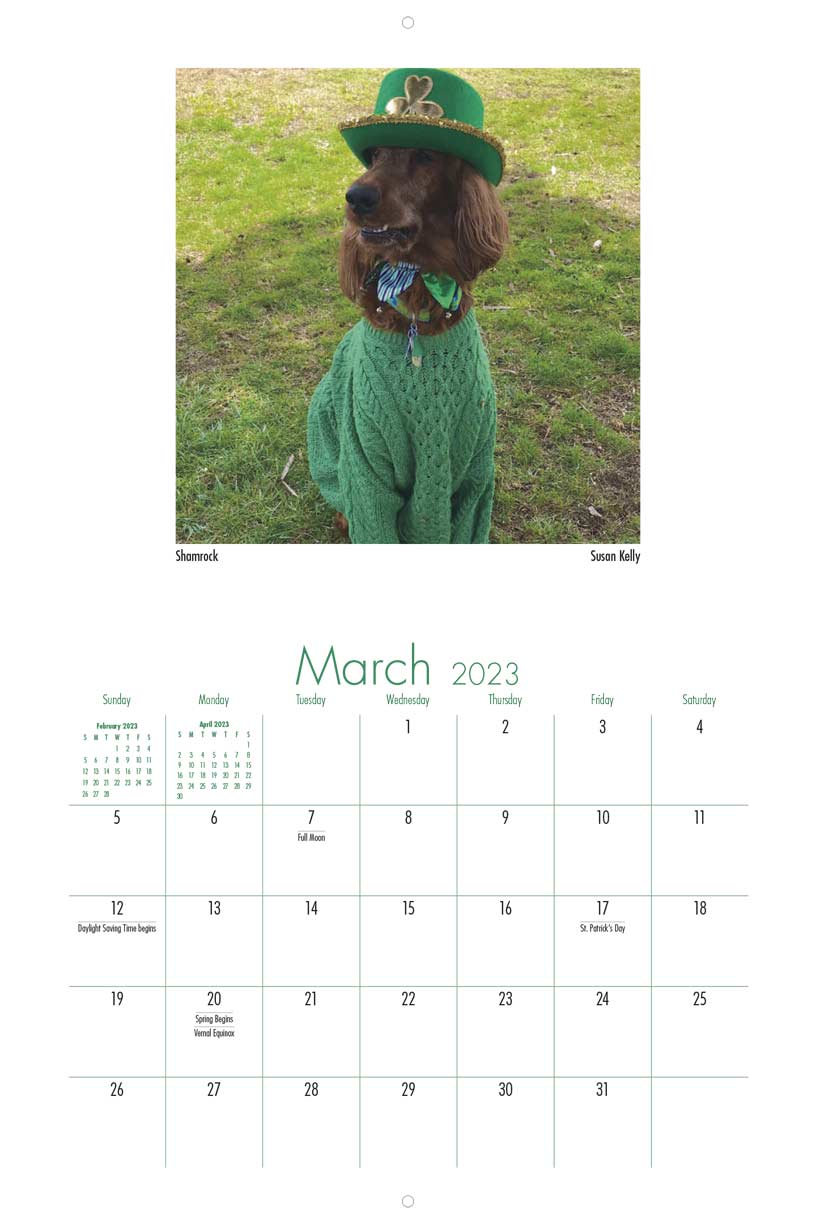 Irish Setter Lovers 2023 Calendar Fundraising