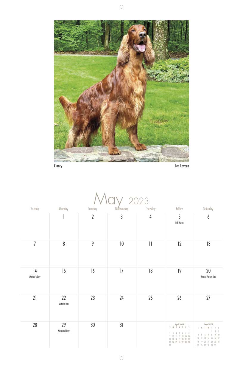 Irish Setter Lovers 2023 Calendar Fundraising