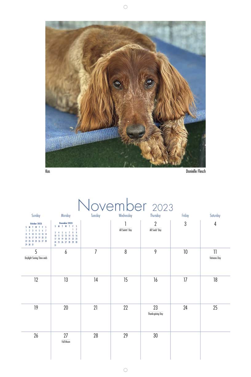 Irish Setter Lovers 2023 Calendar Fundraising