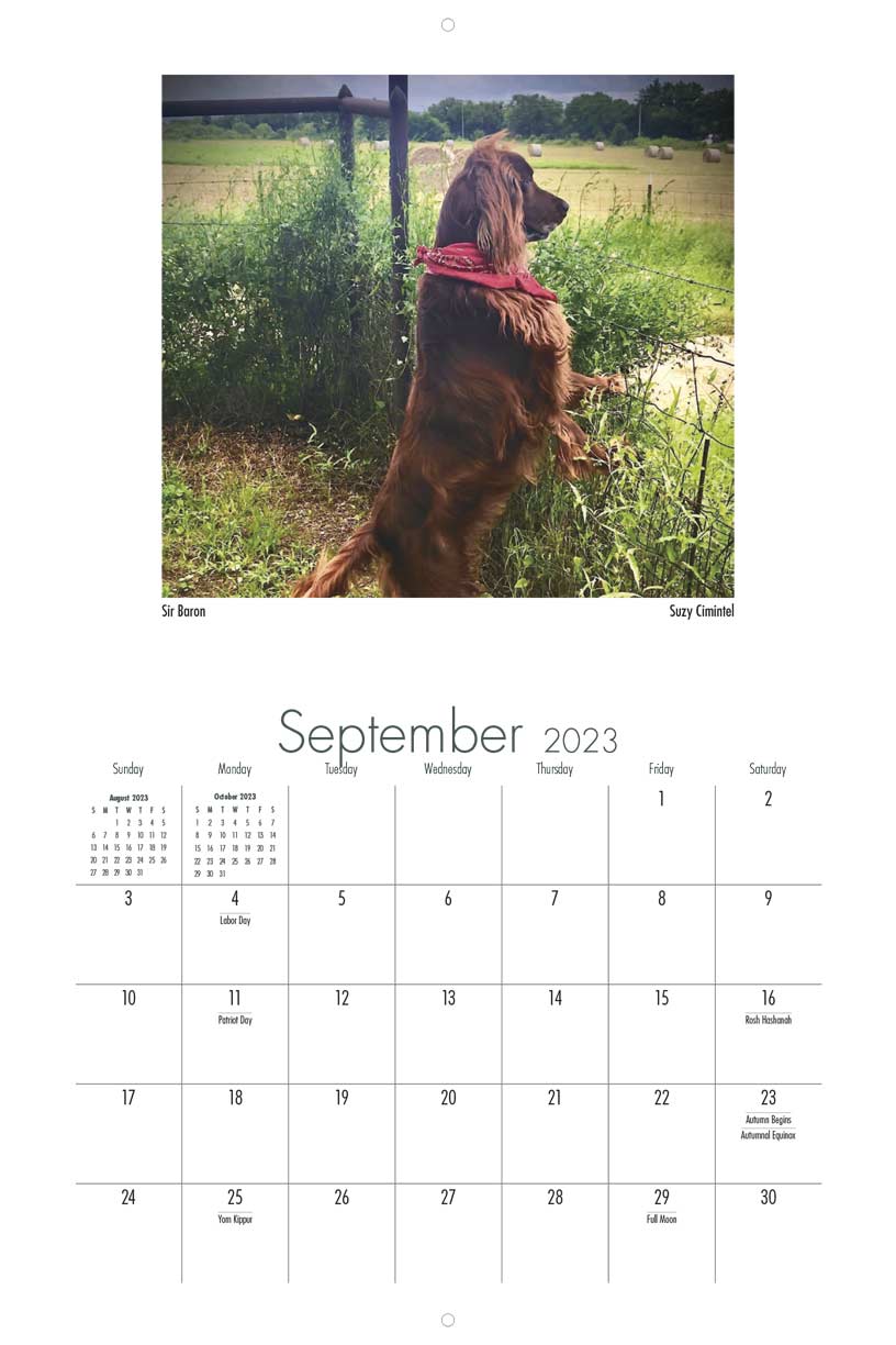 Irish Setter Lovers 2023 Calendar Fundraising
