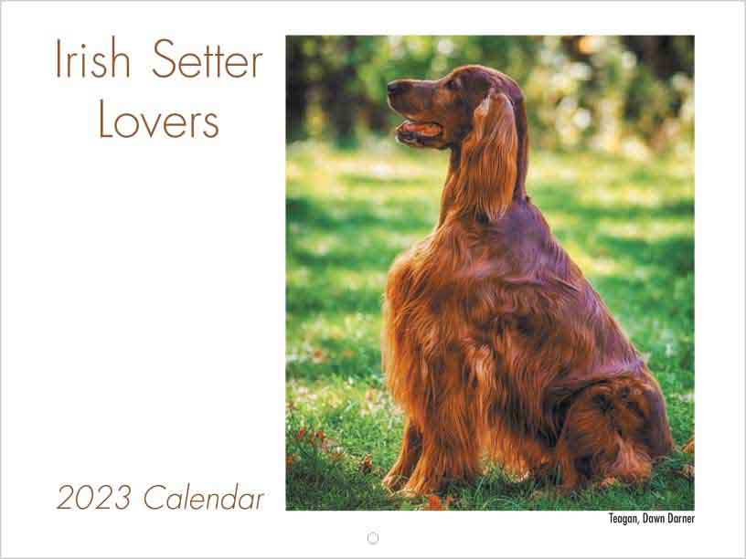 Irish Setter Lovers 2023 Calendar Fundraising