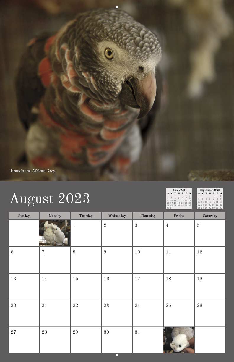 Seminole County Parrot Rescue 2023 Calendar Fundraising
