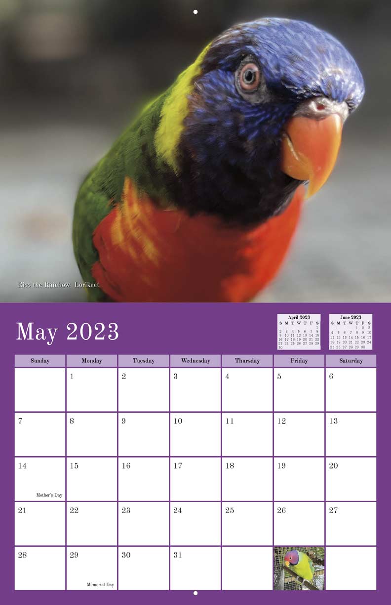 Seminole County Parrot Rescue 2023 Calendar Fundraising