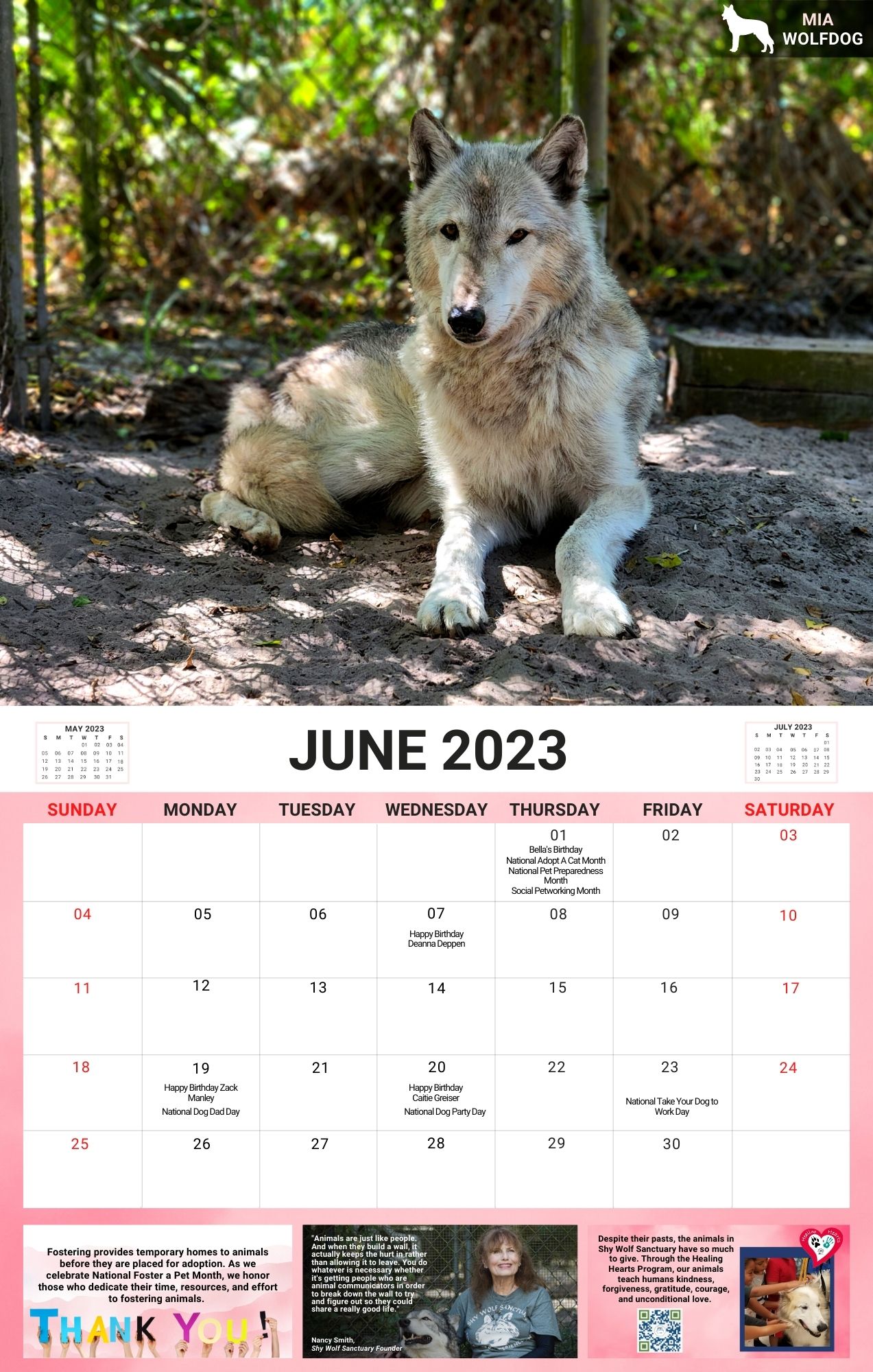 Shy Wolf Sanctuary 2023 Calendar Fundraising
