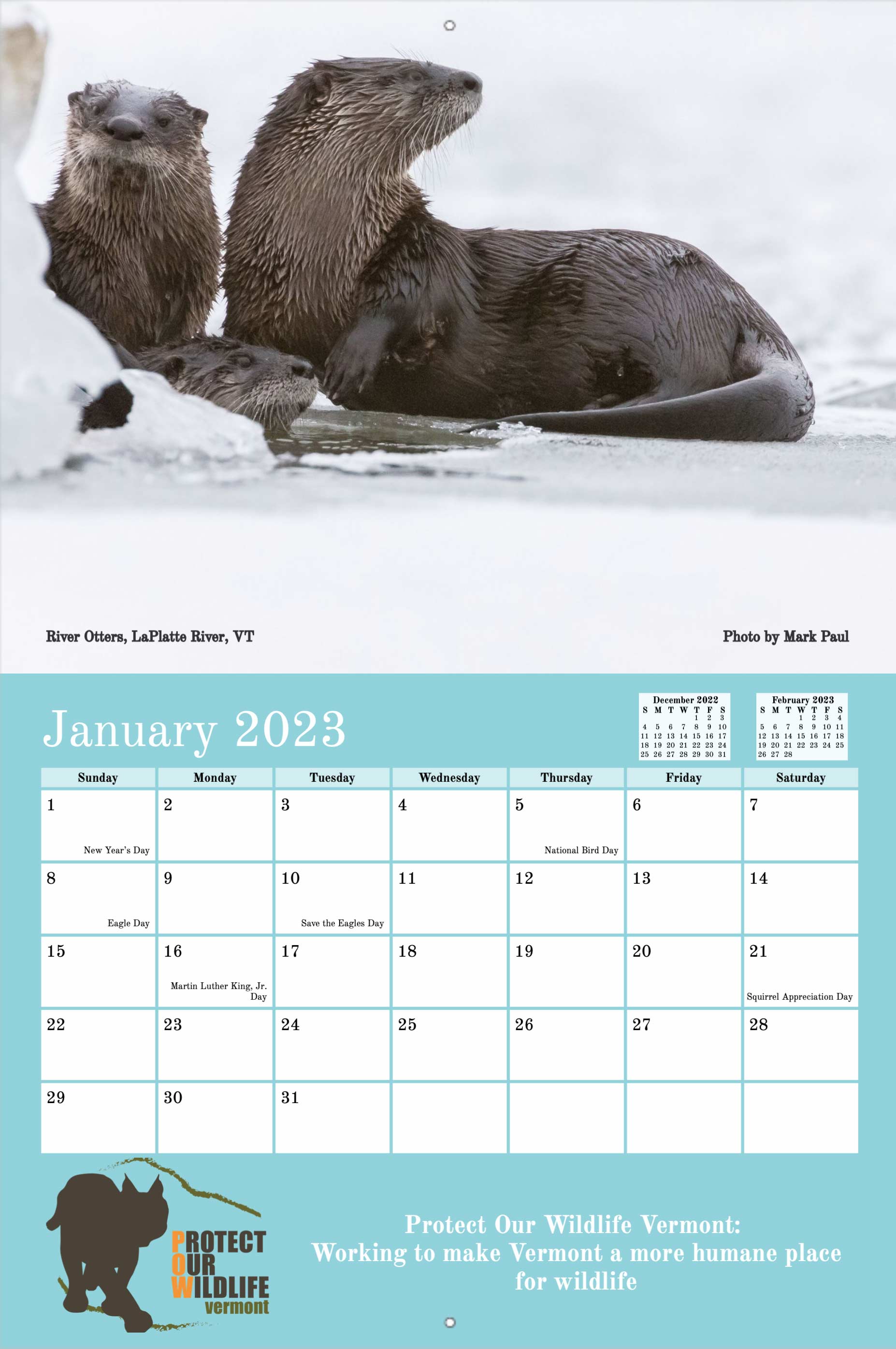 Celebrating Species - Wildlife for All 2023 Calendar