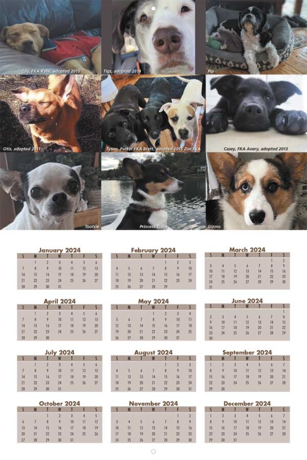 Lucky Pup Rescue 2023 Calendar Fundraising