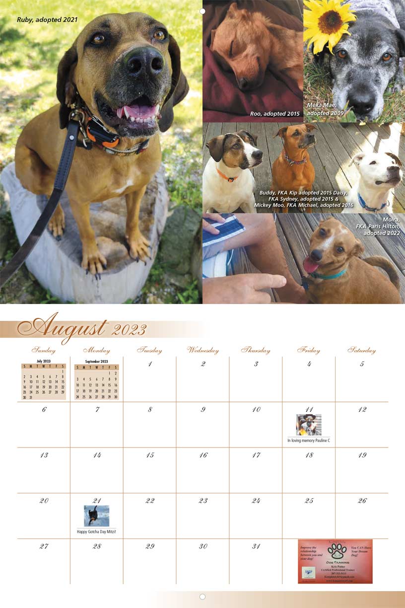 Lucky Pup Rescue 2023 Calendar Fundraising