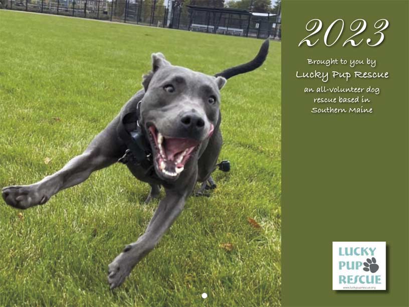 Lucky Pup Rescue 2023 Calendar Fundraising