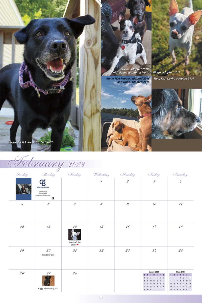 Lucky Pup Rescue 2023 Calendar Fundraising