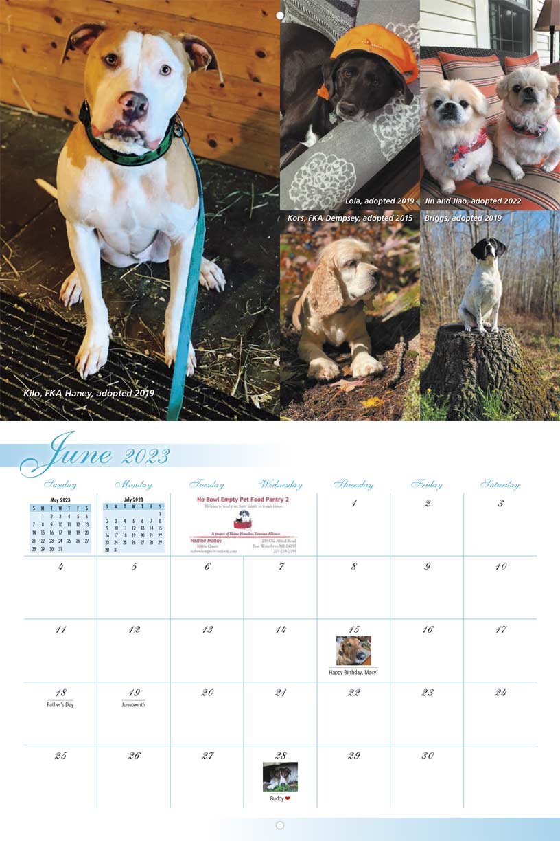Lucky Pup Rescue 2023 Calendar Fundraising