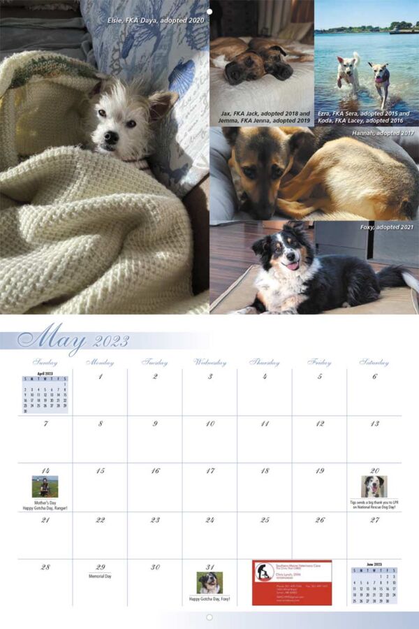 Lucky Pup Rescue 2023 Calendar Fundraising