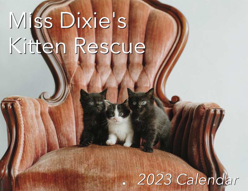 Miss Dixie's Kitten Rescue 2023 Calendar Fundraising