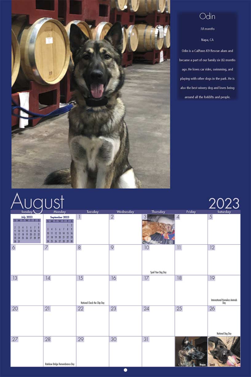 CallPaws K9 Rescue 2023 Calendar Fundraising