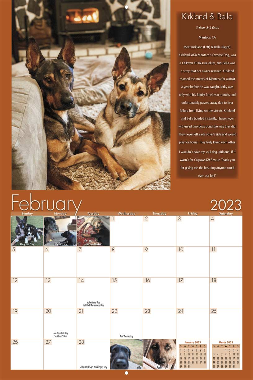 CallPaws K9 Rescue 2023 Calendar Fundraising