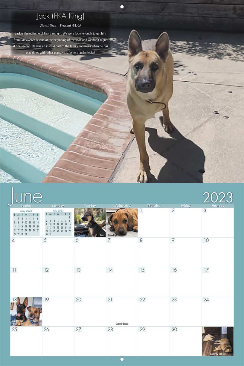 CallPaws K9 Rescue 2023 Calendar Fundraising