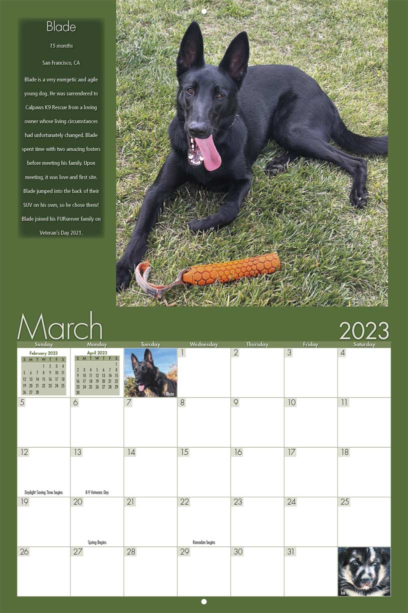 CallPaws K9 Rescue 2023 Calendar Fundraising