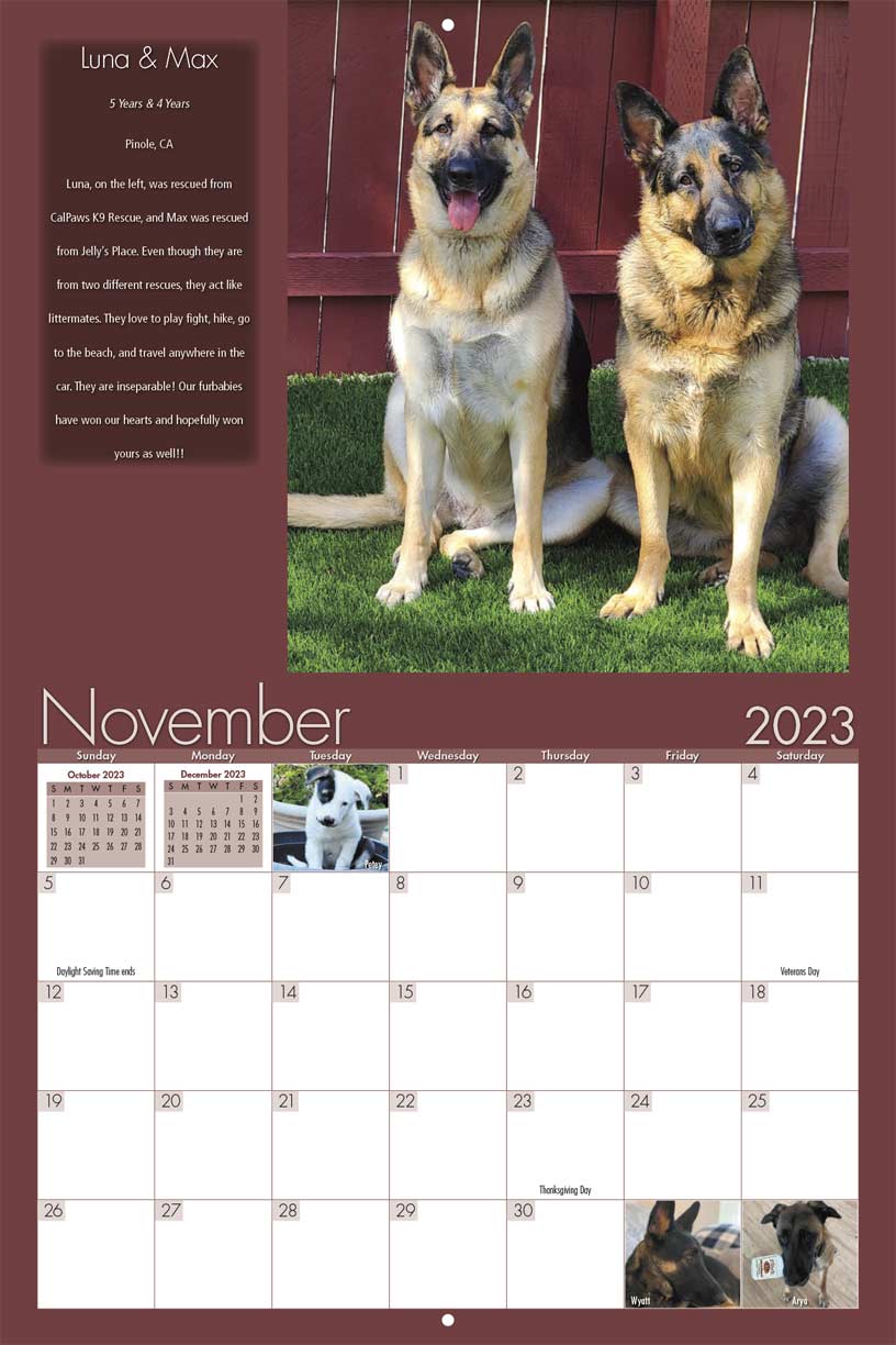 CallPaws K9 Rescue 2023 Calendar Fundraising