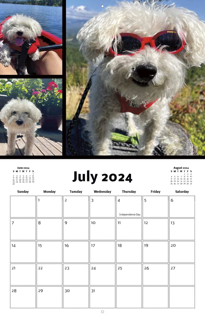 Largent the Adventure Dog 2024 Calendar - Yearbox Calendars