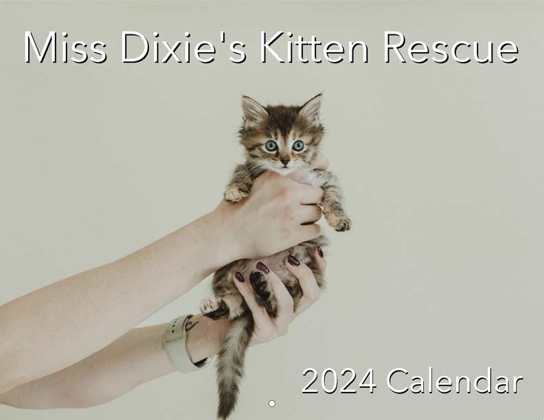 Miss Dixie's Kitten Rescue 2024 Calendar - Yearbox Calendars