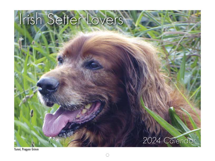 Irish Setter Lovers Calendar Payment - Yearbox Calendars