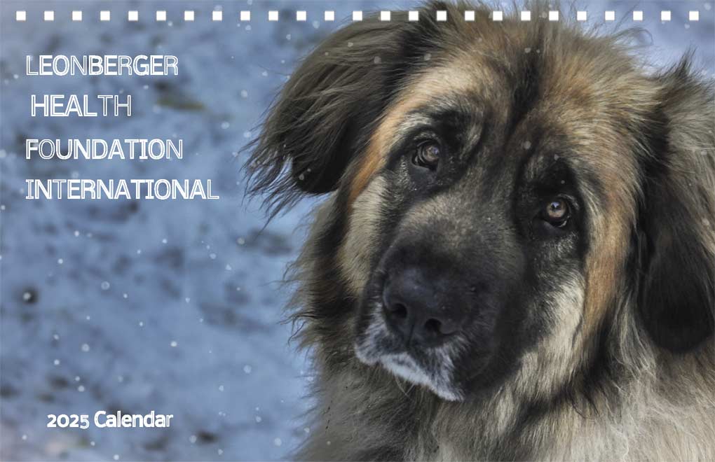 LHFI Calendar Payment - Yearbox Calendars