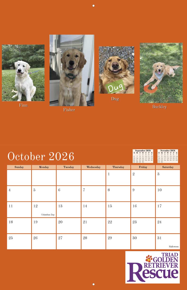Triad Golden Retriever Rescue 2026 Calendar - Yearbox Calendars
